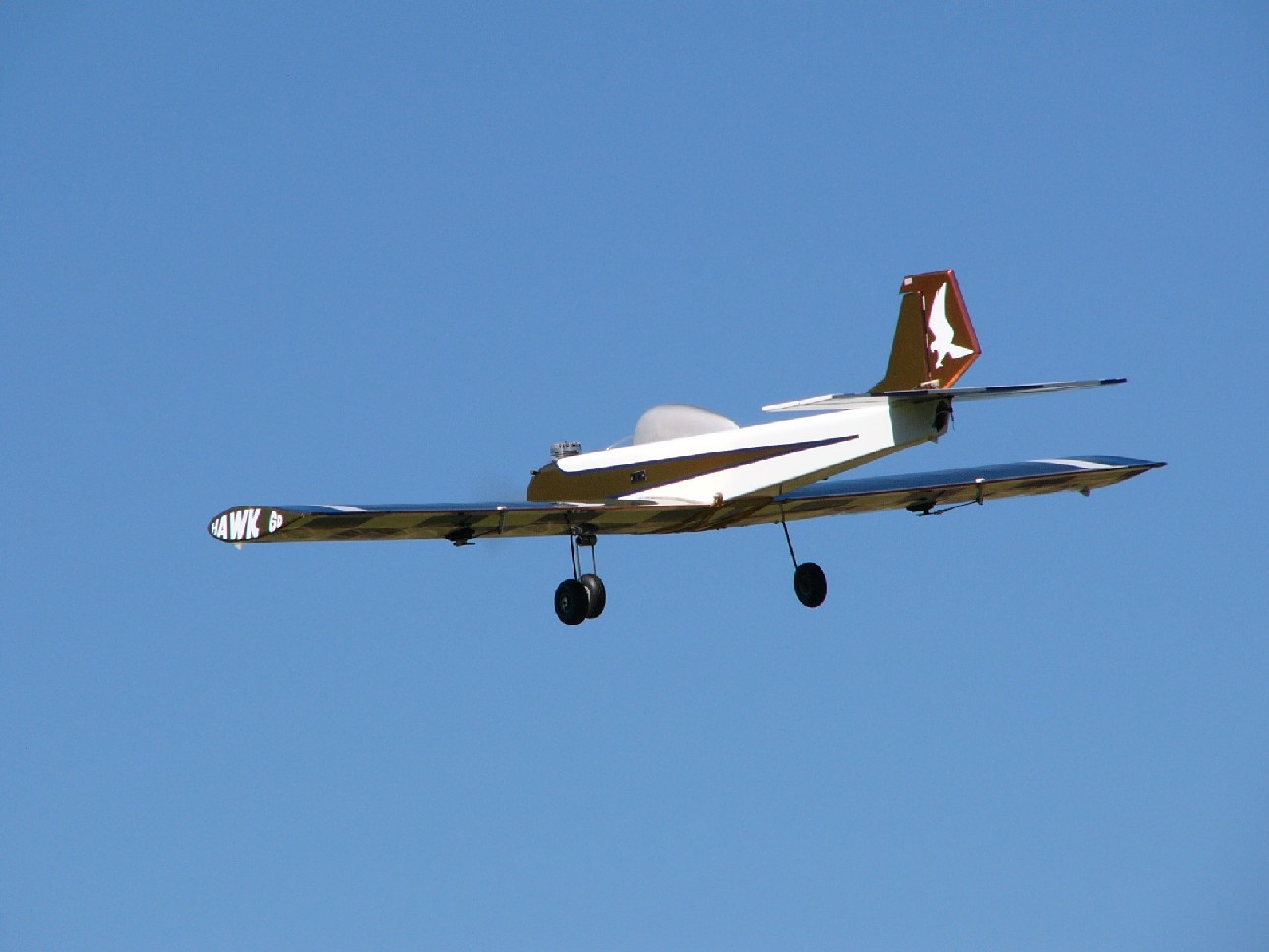 L-R: 1) Parker Hall's Magic Hawk on a dead stick landing. Could not ...